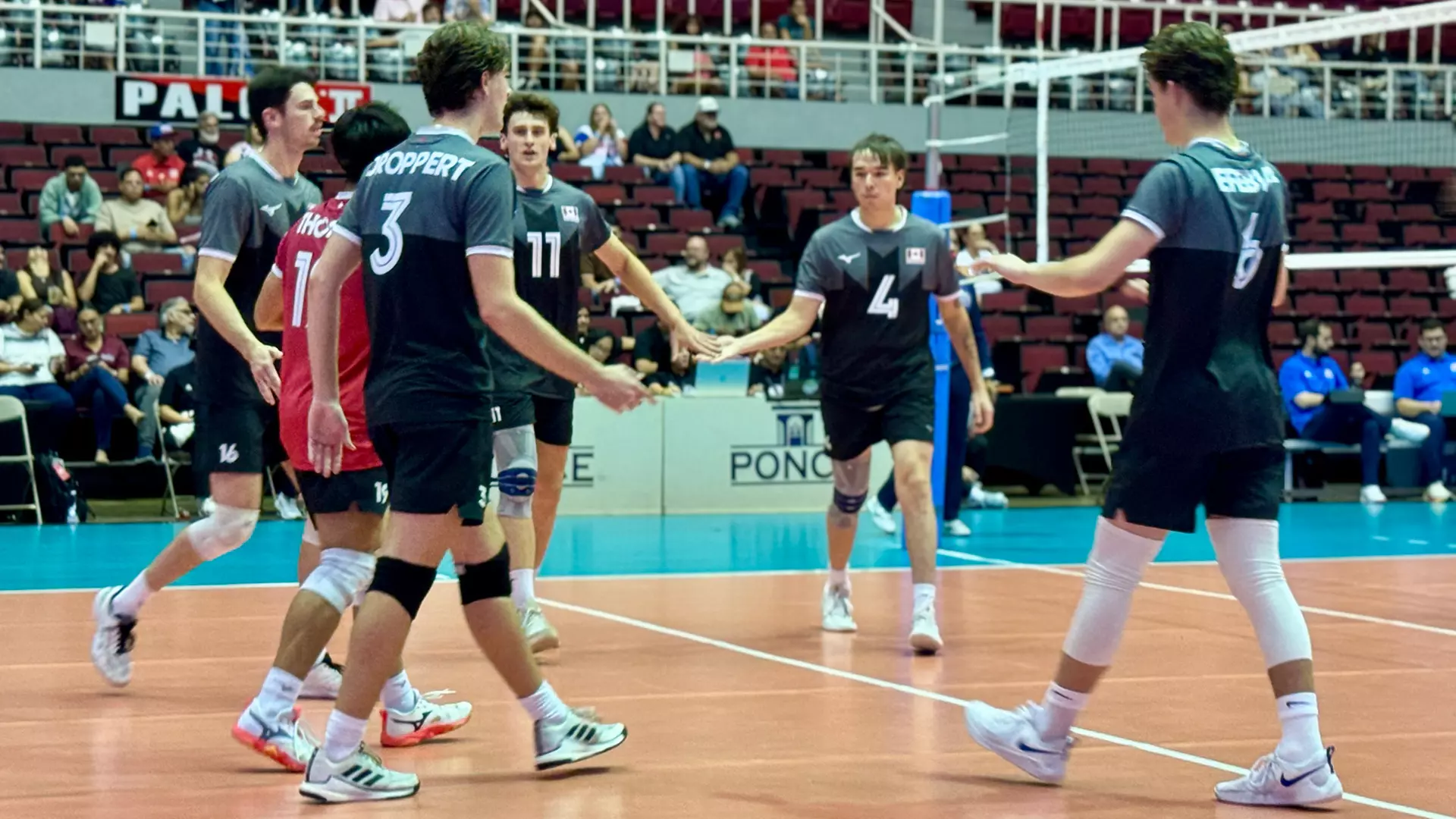 Bobcats swept by host Puerto Rico - Momentum Volleyball